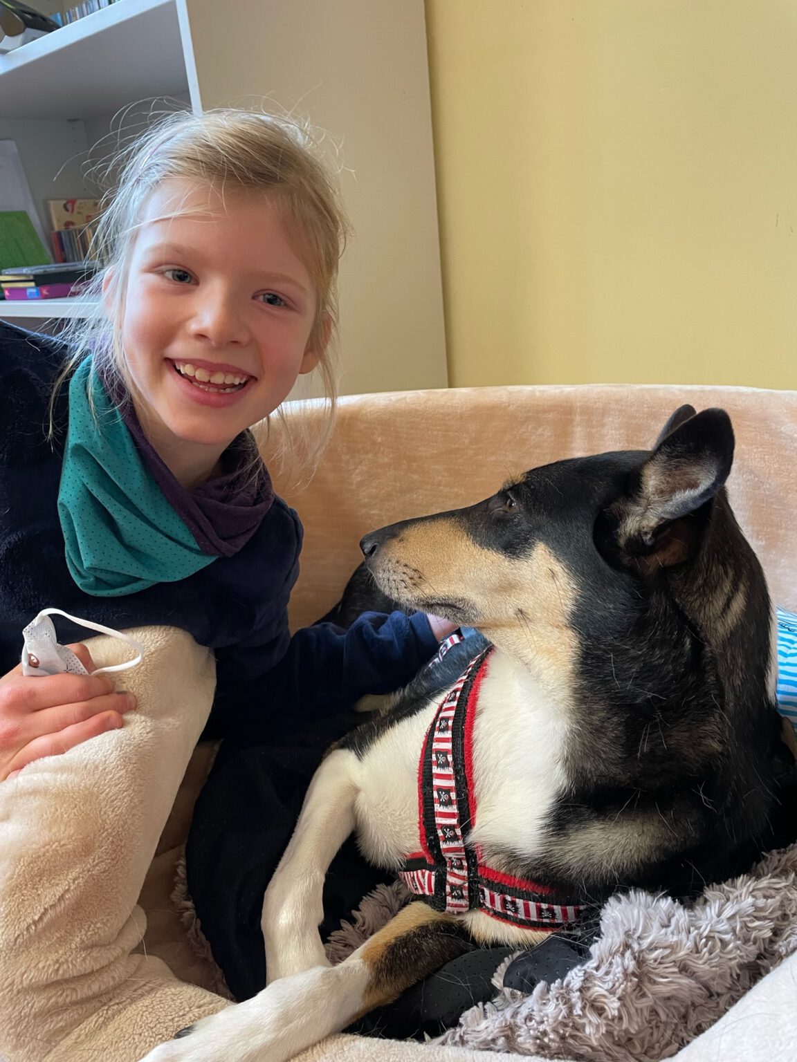 Unser Schulhund Aimee – Kerschensteiner Schule